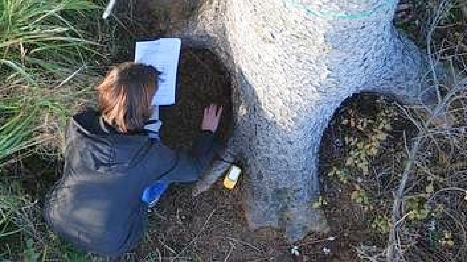 Vom Verstecken und Finden