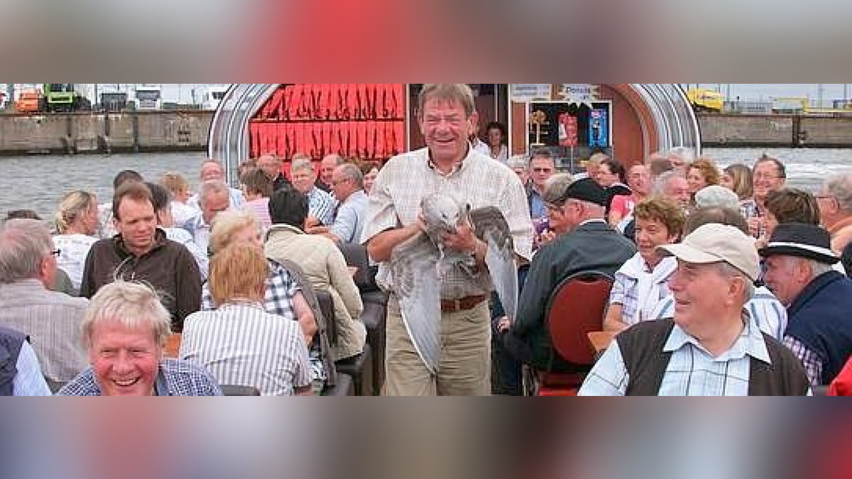Heldener Sängerkopf diente Möwe als Landeplatz