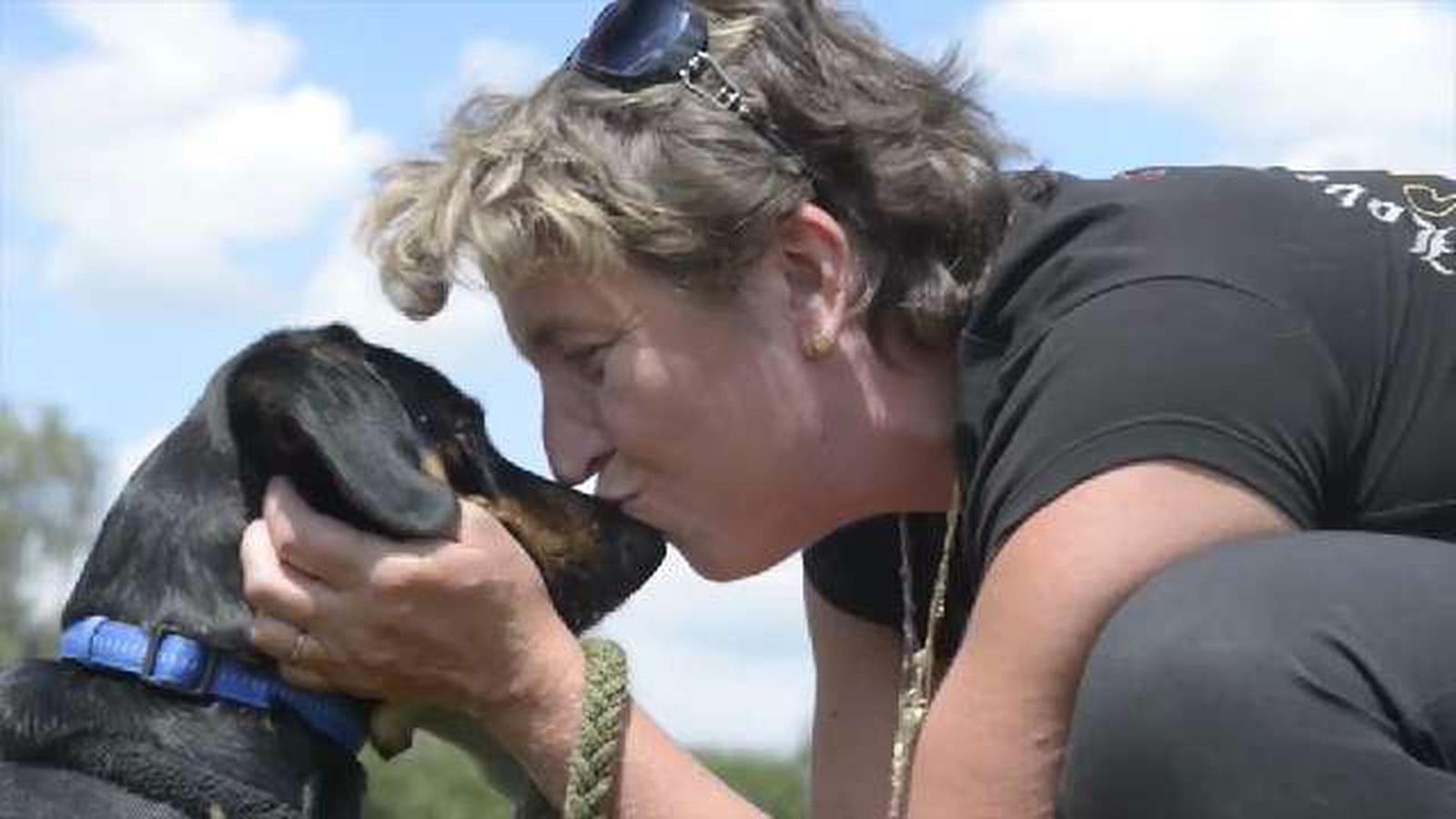 Hund Bruce geht es besser