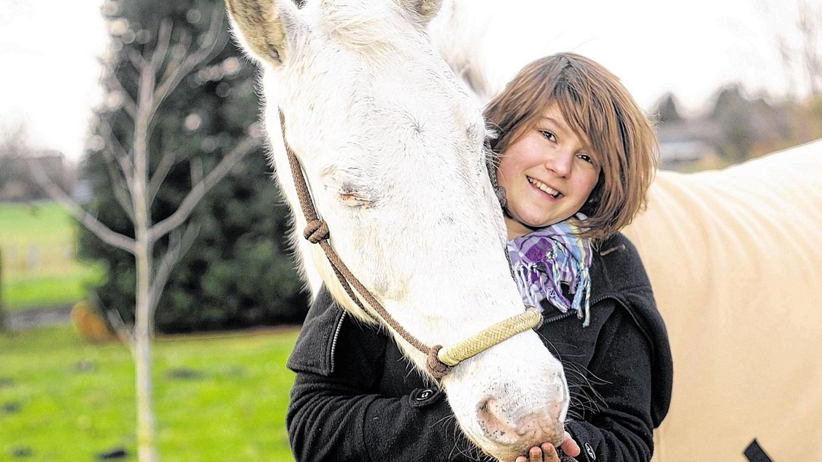 Blinder Wallach Jamie soll nicht zum Schlachter