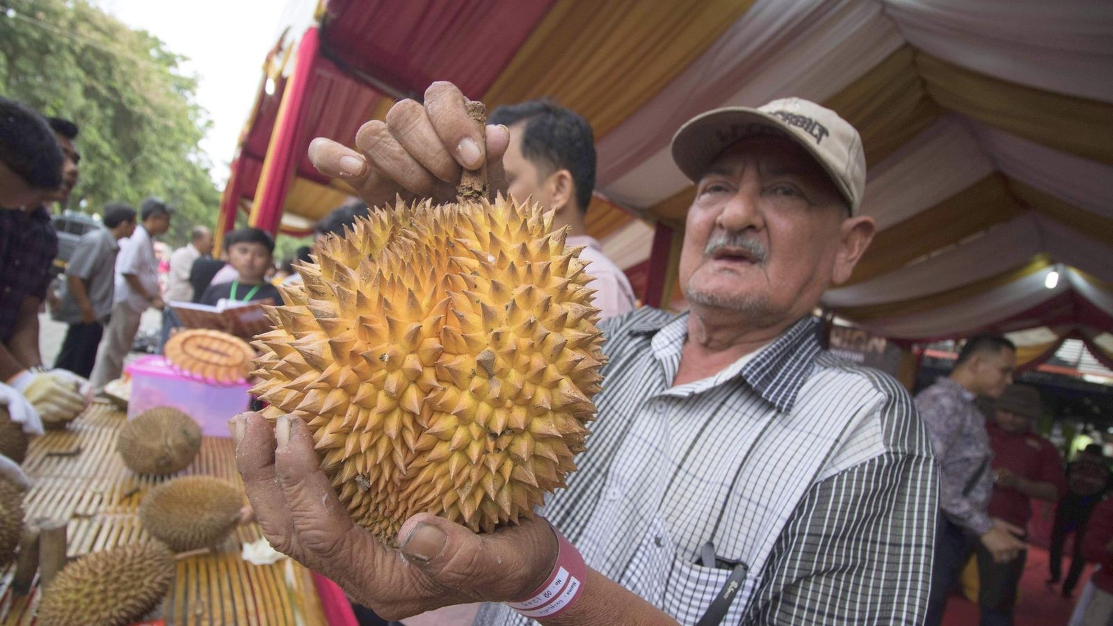 „Stinkefrucht“: Darum spendieren Händler in Singapur Durian-Früchte gratis