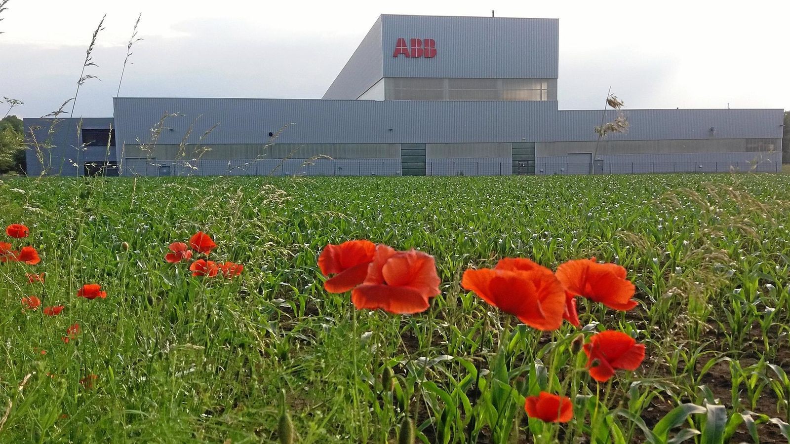 ABB in Brilon kauft Flächen – Das ist über die Pläne bekannt