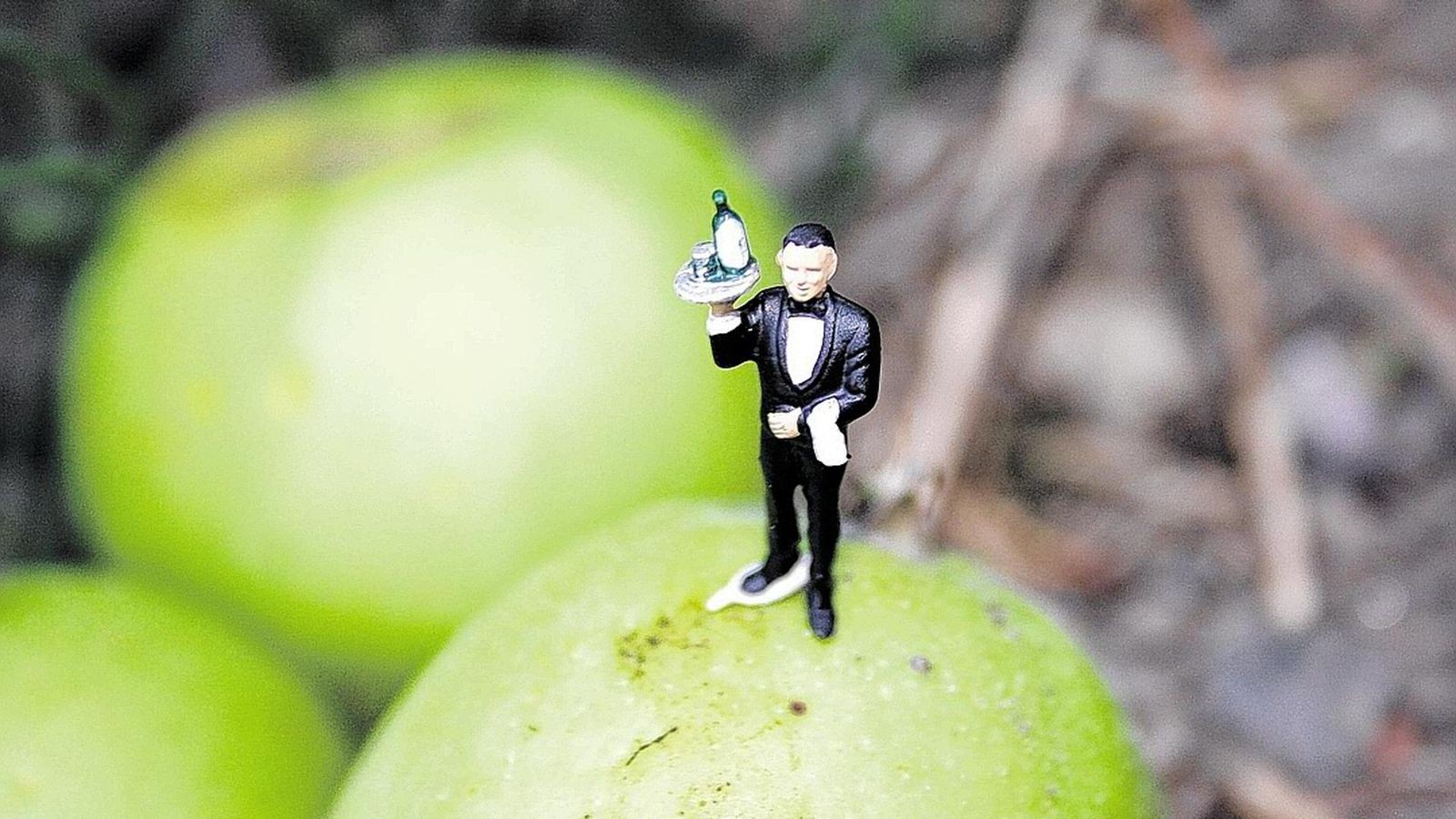 Sich klein machen, um Großes zu entdecken