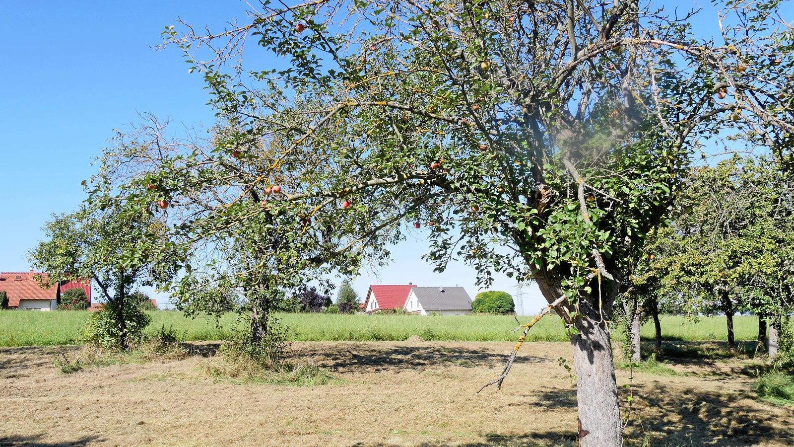 Wohngebiet in Arnstädter Ortsteil Marlishausen: „Wir wollten nie eine ...
