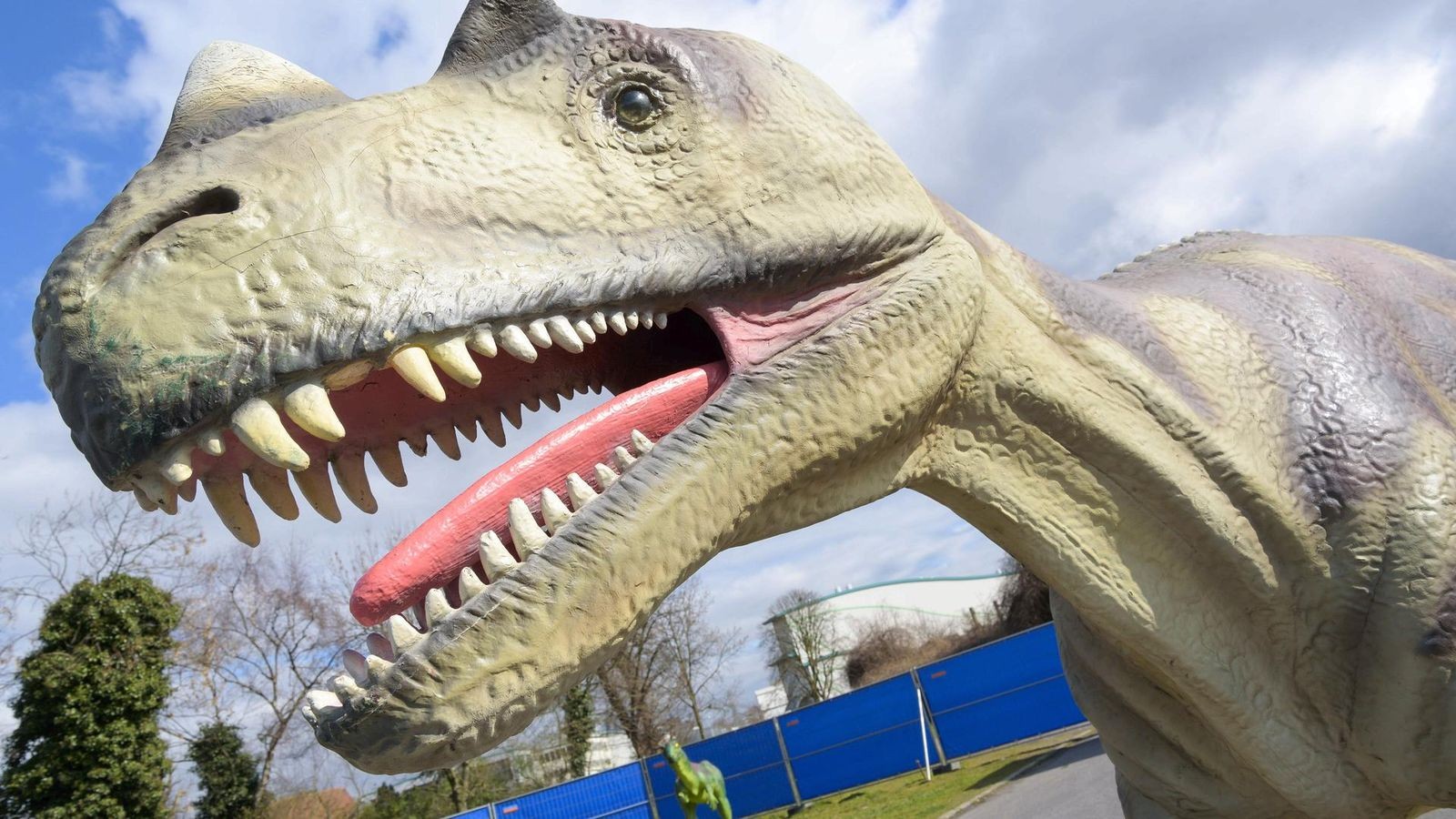 Ausstellung zeigt Giganten der Urzeit