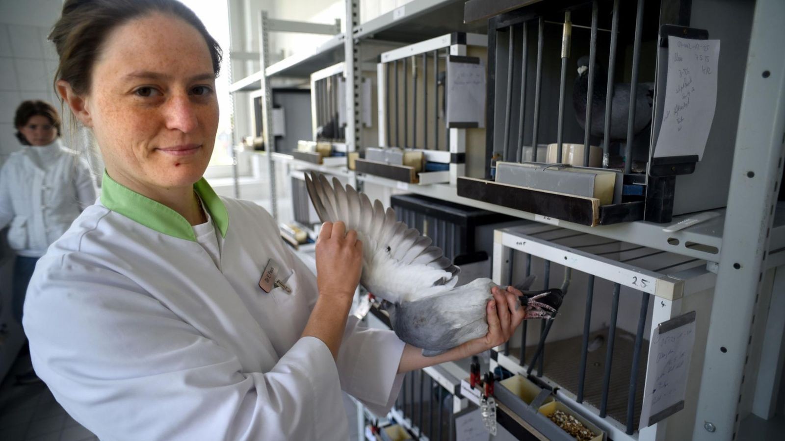 Nach Saisonstart herrscht nun Hochbetrieb in der Taubenklinik