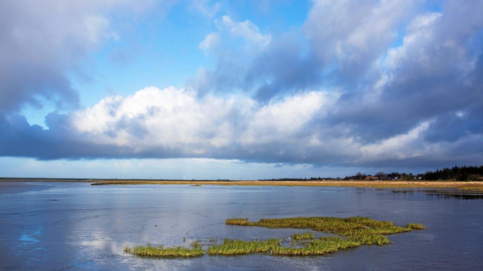 Schleswigsche Geest: Eine Landschaft als Geheimtipp