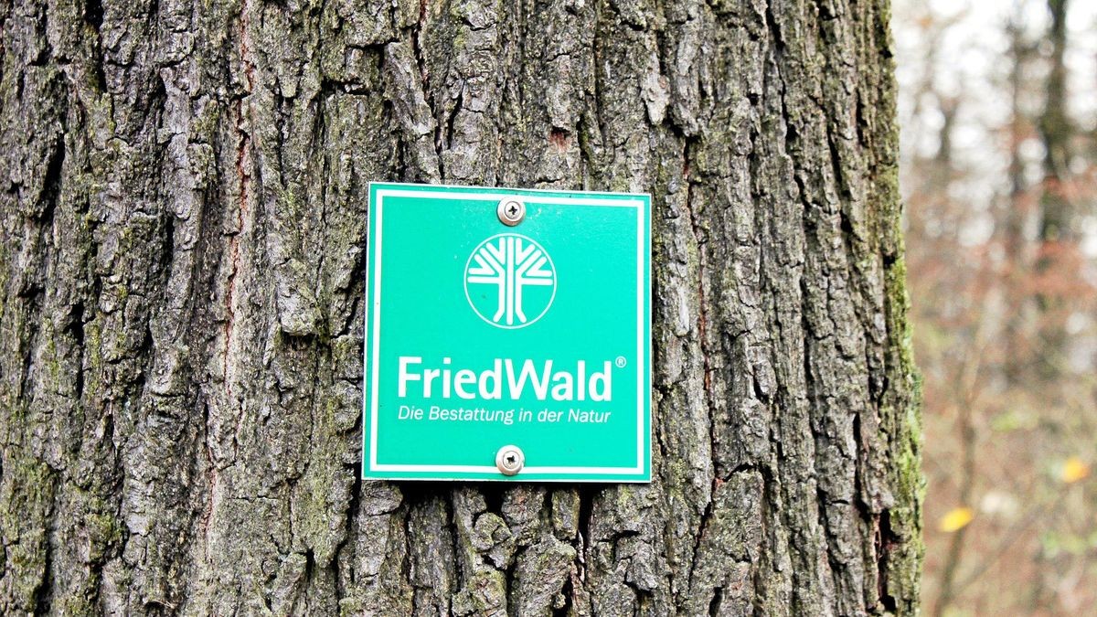 Führung durch den Friedwald bei Sangerhausen