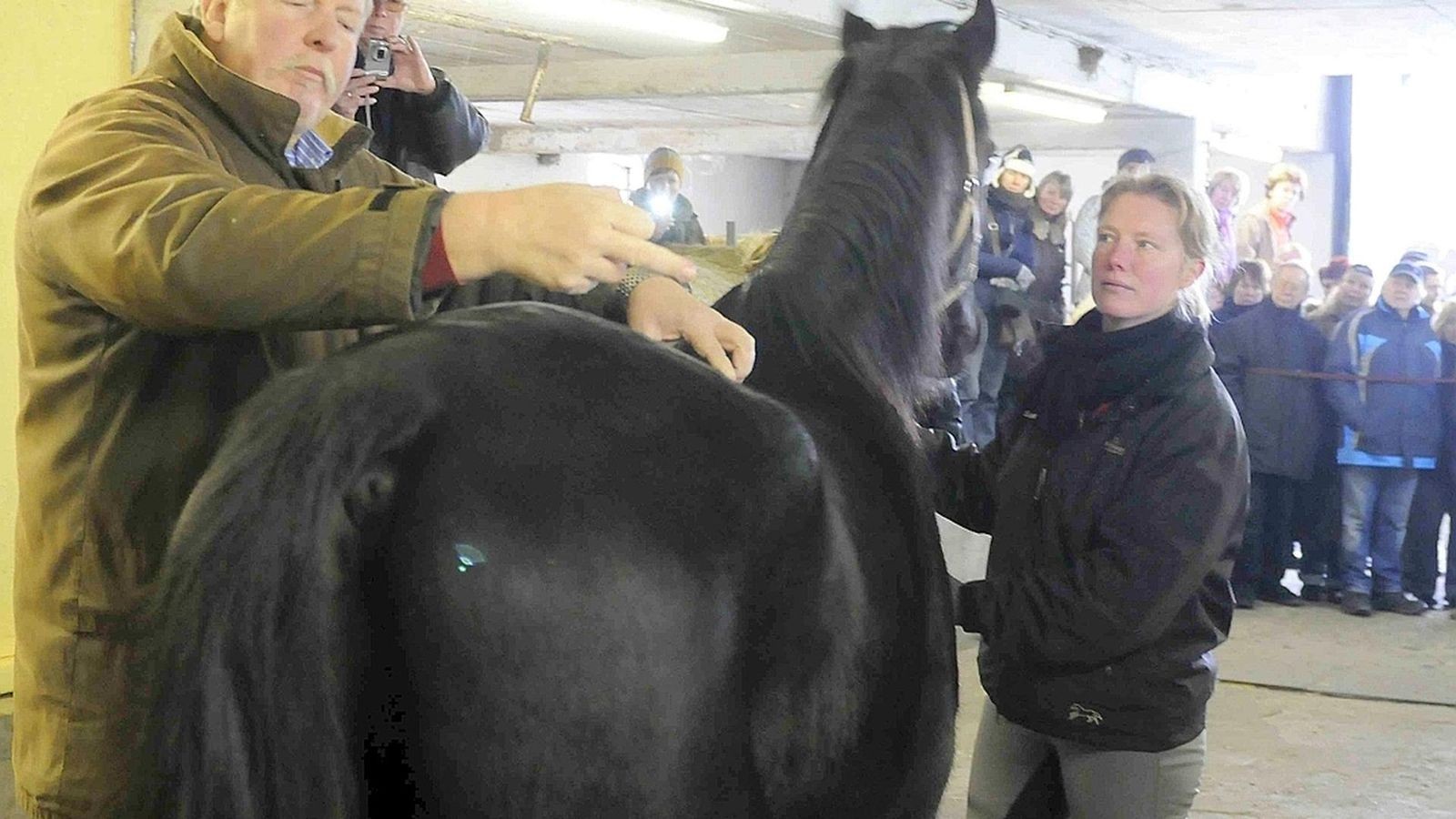 „Knochenbrecher“ und „XXL-Ostfriese“ Tamme Hanken renkt in Rees Pferde ein