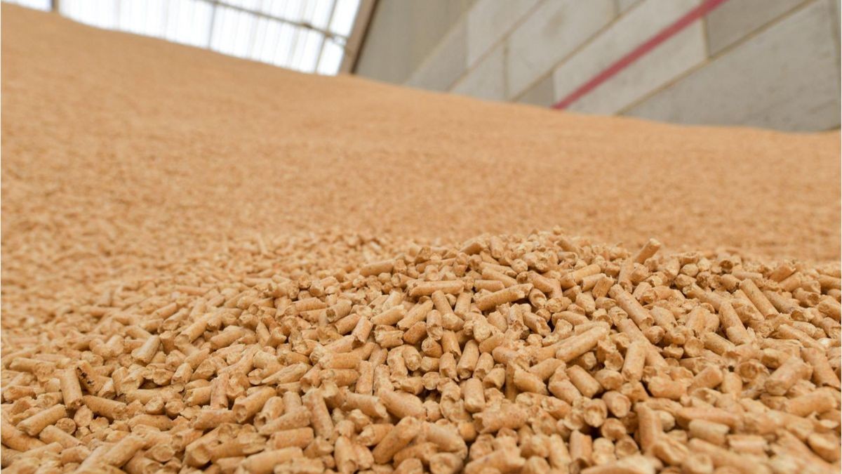 Pelletspreise aktuell: Der Preis je Tonne am 23. Dezember