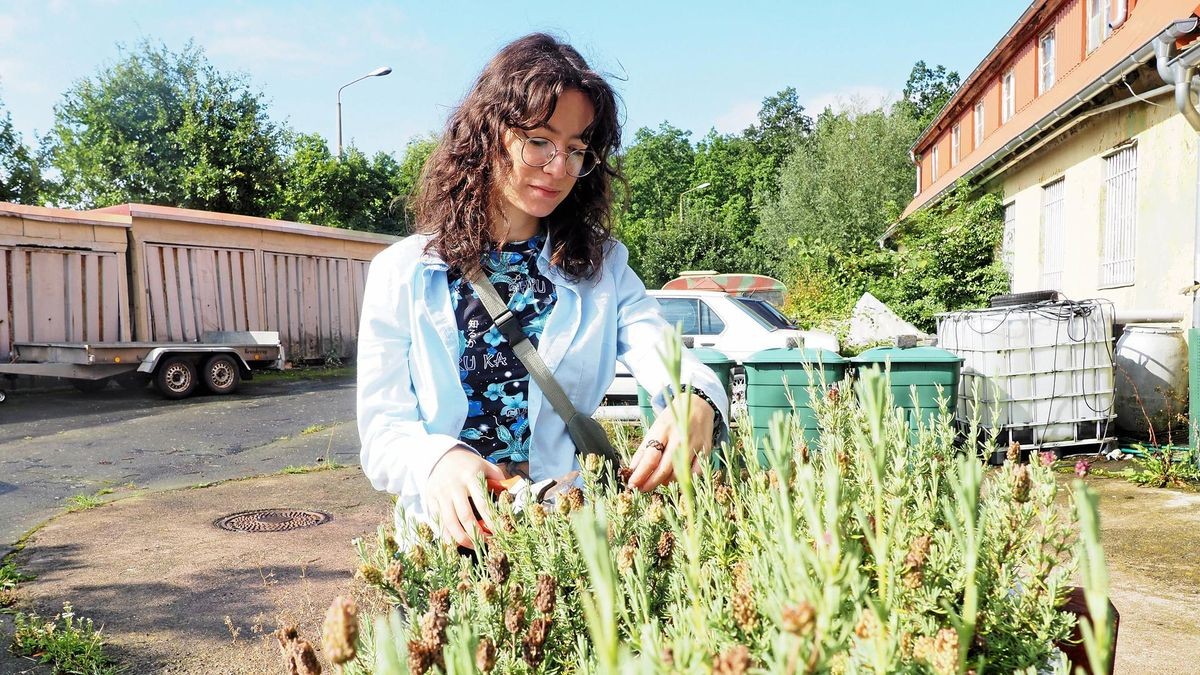 Nach 25 Jahren: Freiwilligendienst auf der Bienstädter Warte im ...