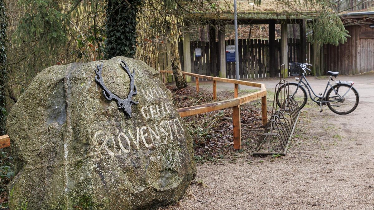 Immobilien Hamburg: Das kosten Häuser in Rissen zwischen Elbe und ...