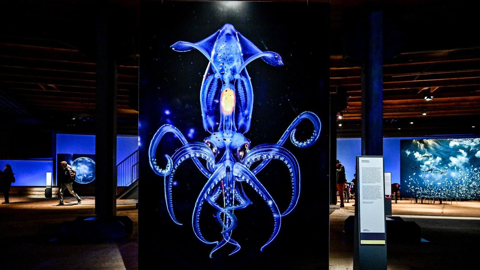 „Planet Ozean“: Neue Öffnungszeiten im Gasometer Oberhausen