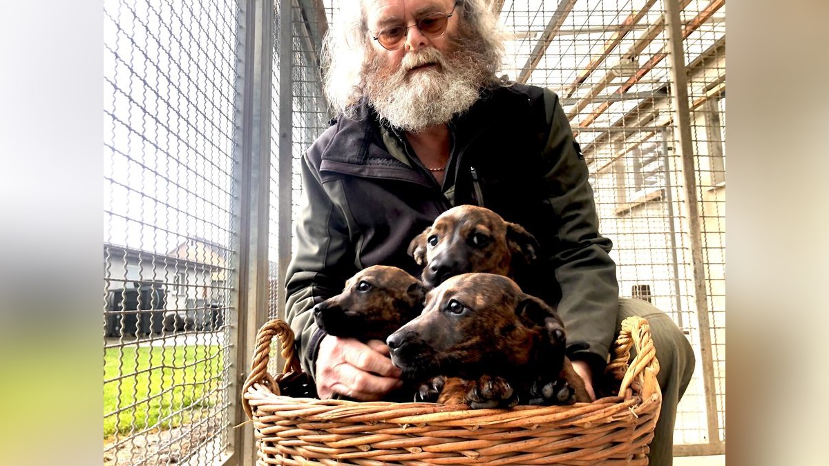 Hitzetipps für Tier und Mensch von Hundevater Harald Lisker aus dem ...