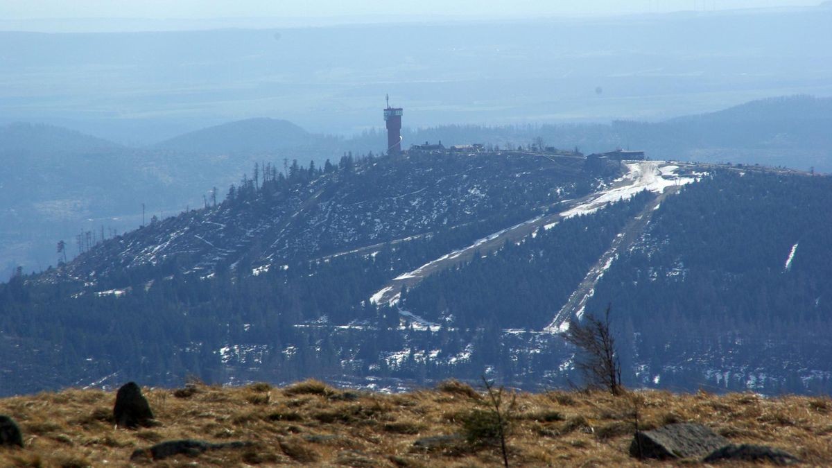 Schnee im Harz: Diese Webcams lohnen sich