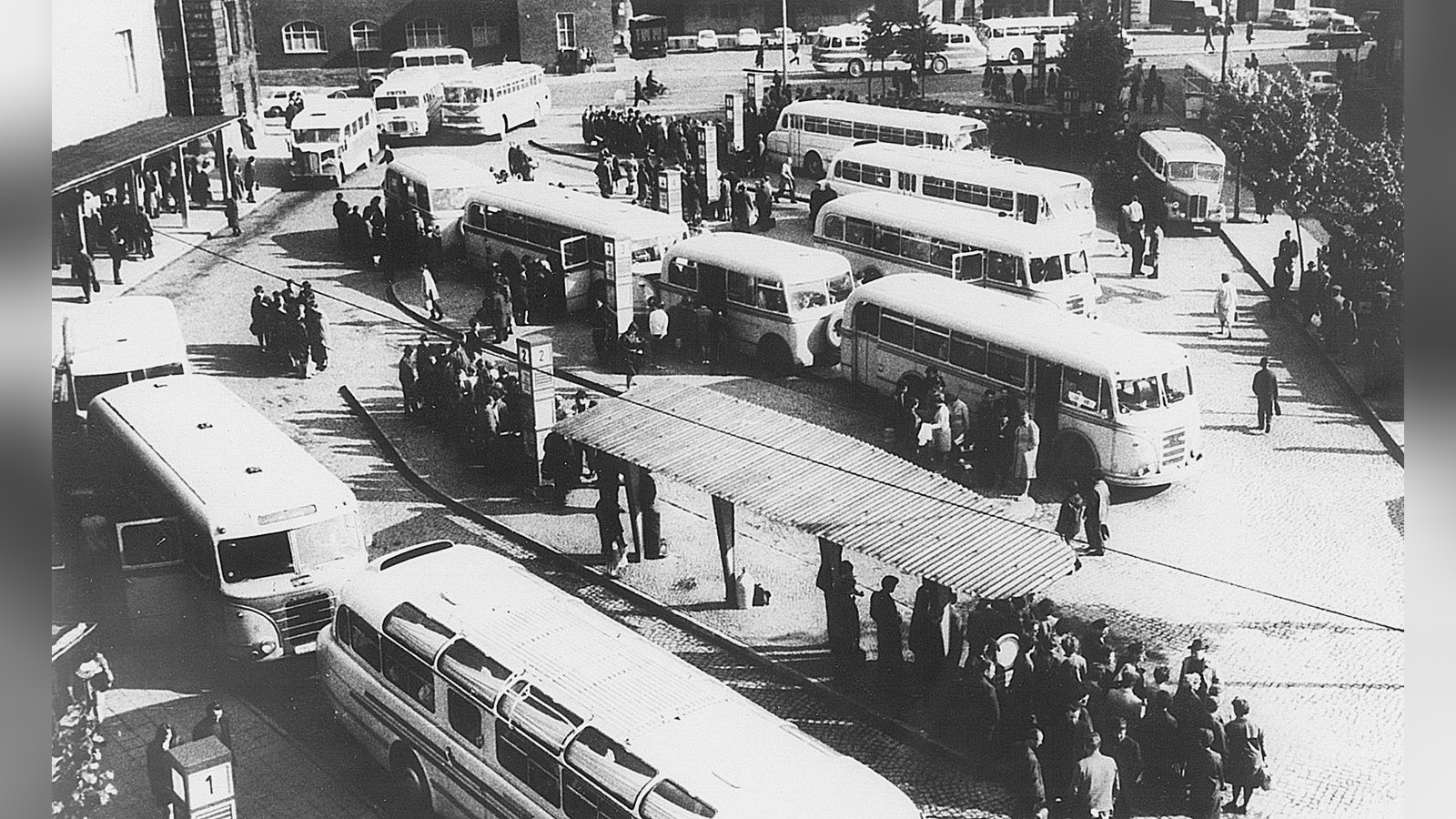 Mit dem Ikarus in die Ferne: Historische Fotos zeigen den Erfurter ...