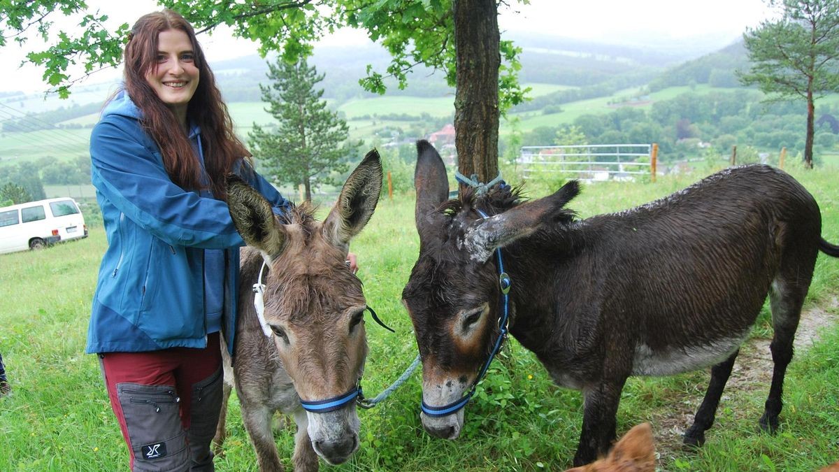 Esel helfen in Eisenach einem bedrohten Tollpatsch