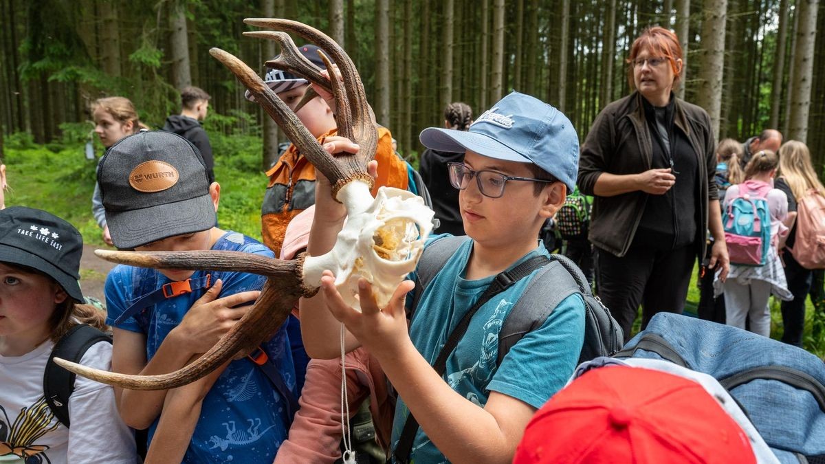 Moderne Forstwirtschaft: Drohnen und Waldumbau im Kreis Gotha