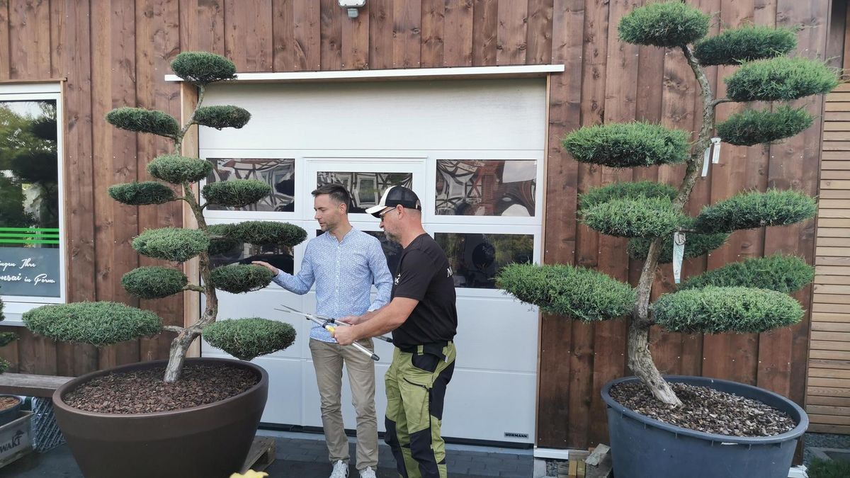 Japanische Gartenkultur im Wartburgkreis hat einen Namen: Niwaki