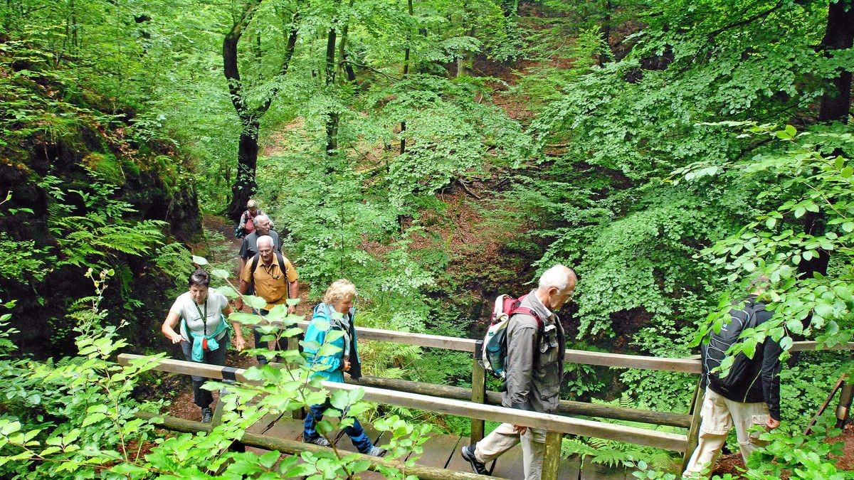 Der Wartburgkreis wird zum Dschungel mit Raubkatzen und Schlangen