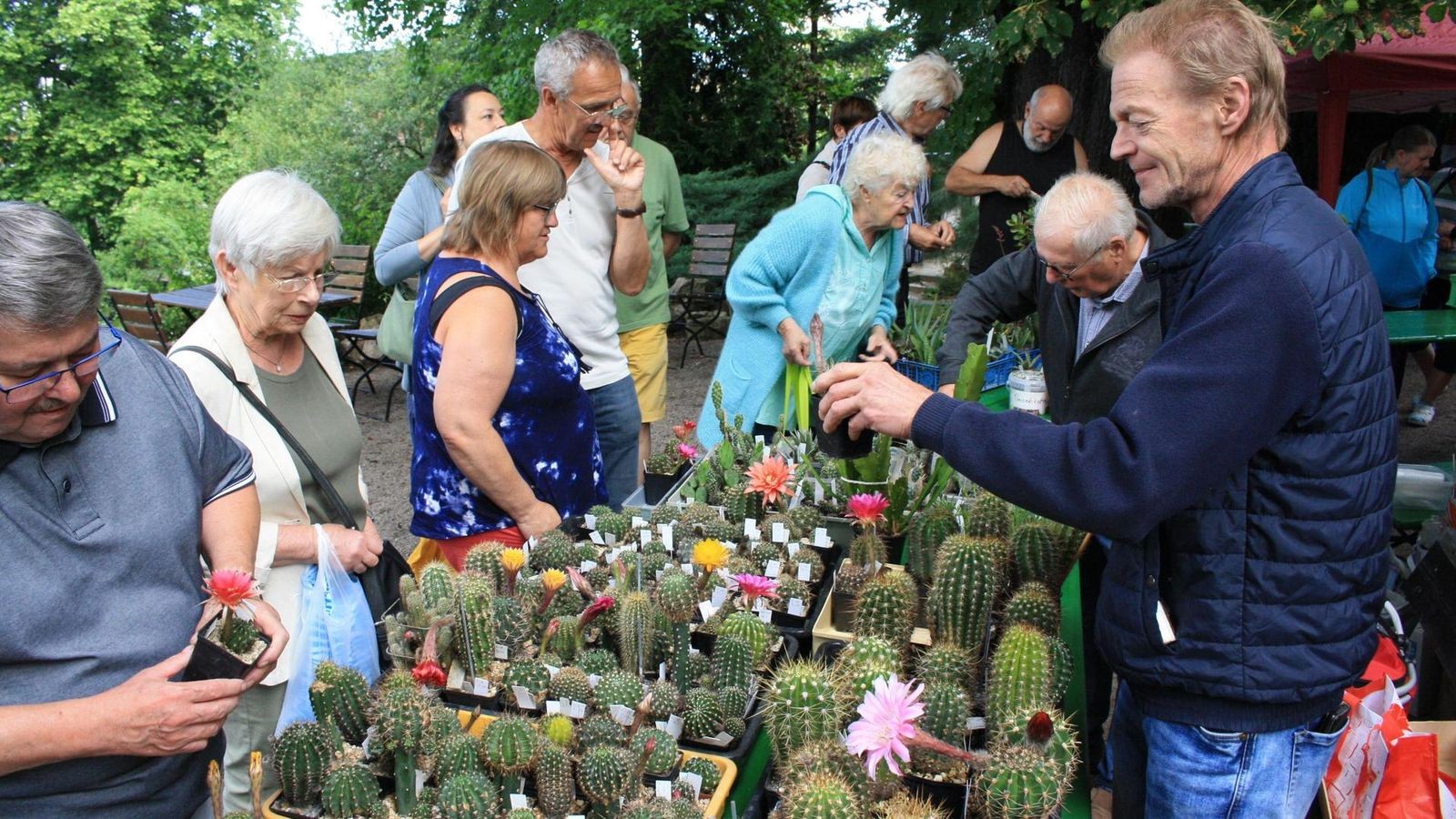 La mature texted Lisa a text and she responded immediately