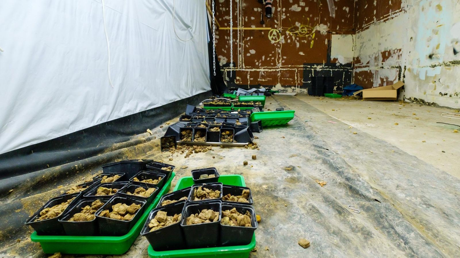 Wahrzeichen bald Cannabis-Plantage? So sieht‘s im Bunker aus