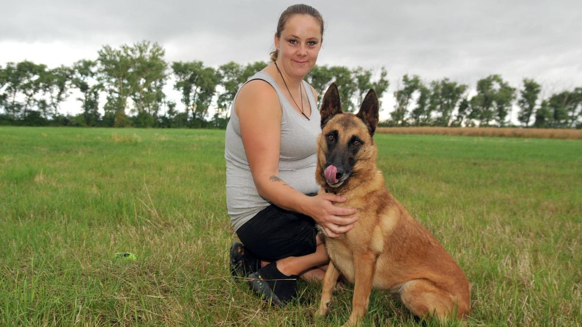 Nach Tod des Frauchens wartet Abby in Gotha auf Menschenfreunde