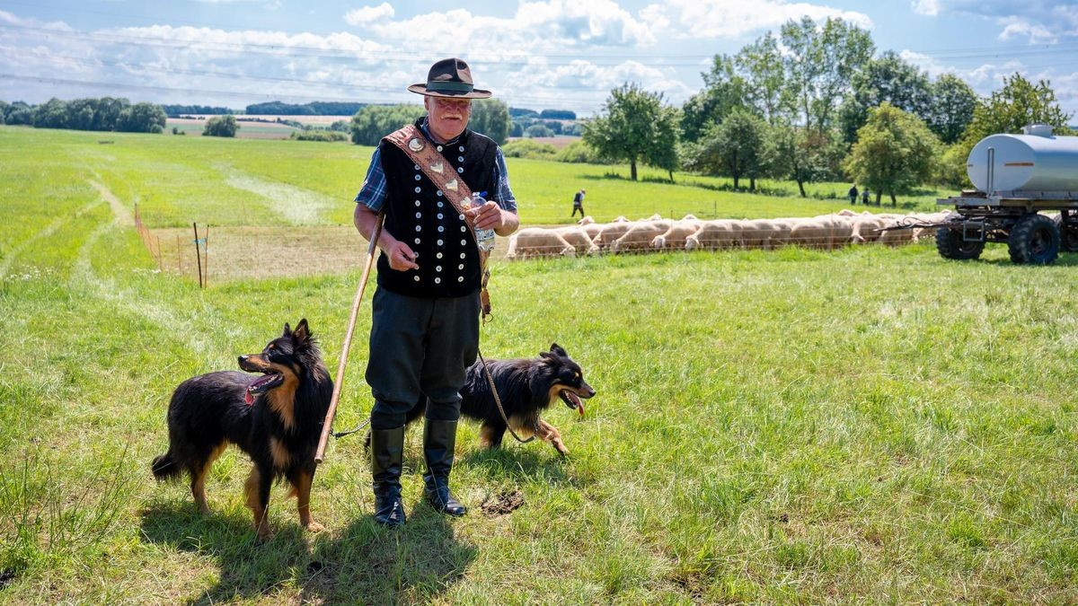 Schäfer im Kyffhäuserkreis hat die besten „Ferraris“