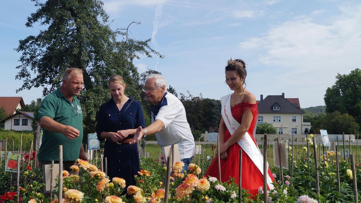 In Bildern: Staatssekretärin lässt sich die Vielfalt der Dahlie ...