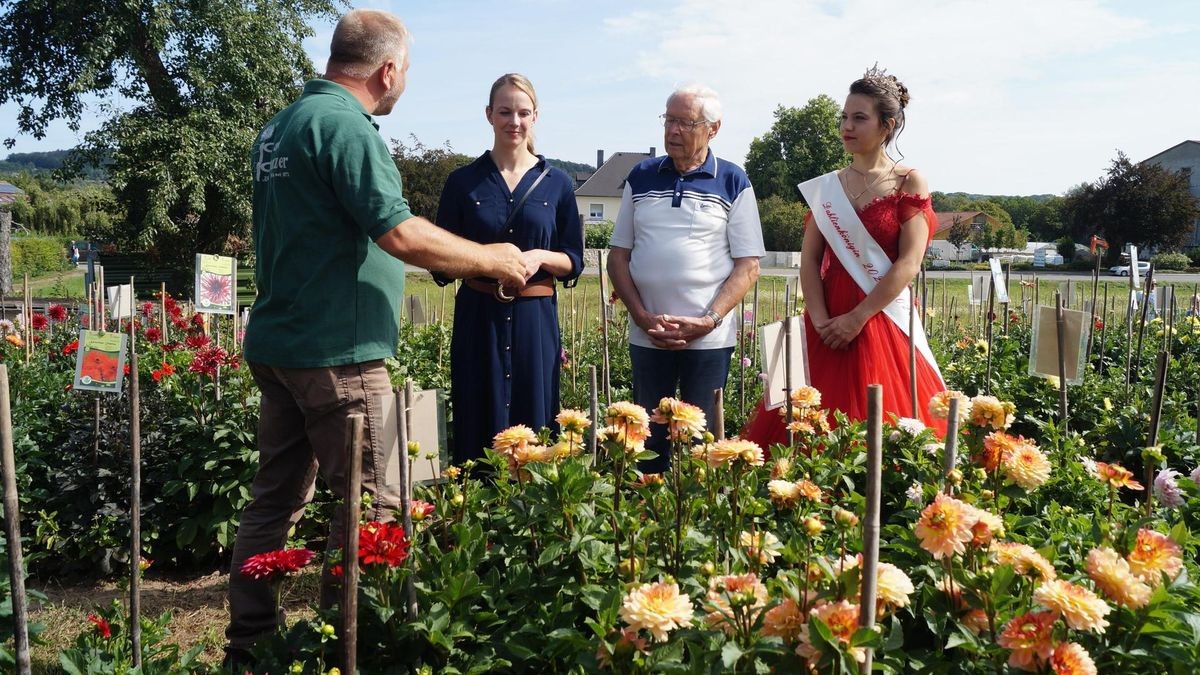 In Bildern: Staatssekretärin lässt sich die Vielfalt der Dahlie ...