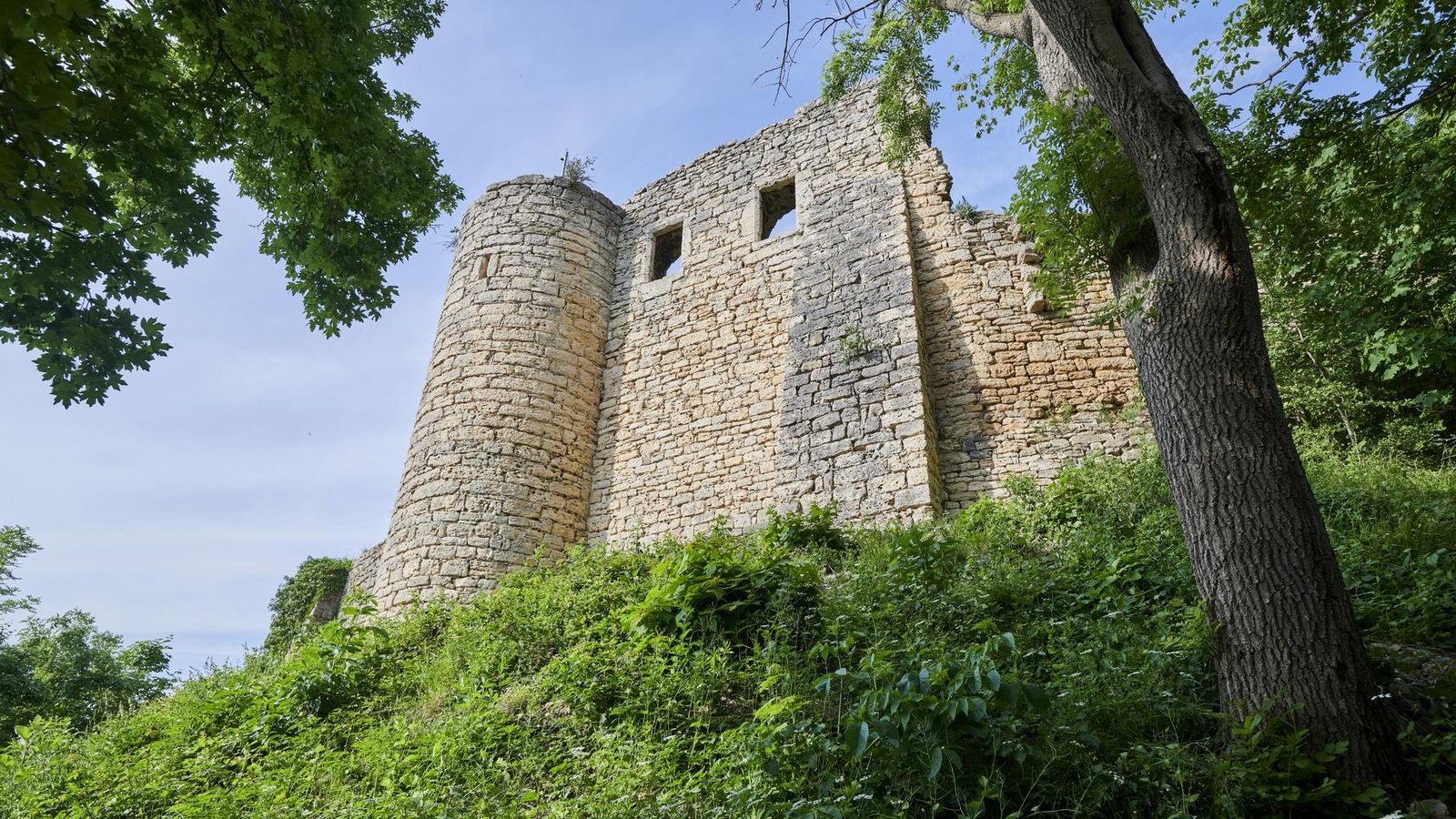Kunitzburg bei Jena: „Es ist ein Herzensanliegen, tut mir leid, wenn ich da nerve“