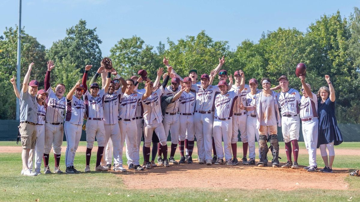 Baseball in Deutschland: Die Berlin Flamingos kämpfen um Anerkennung