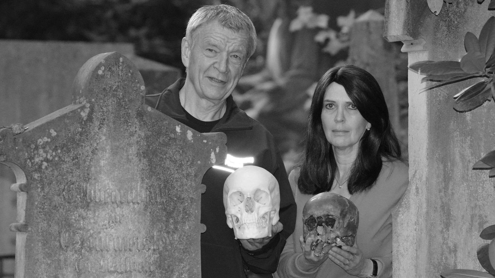 Kultur Hamburg: „Totenmoor“ – warum Püschel-Fans diesen Rache-Roman ...