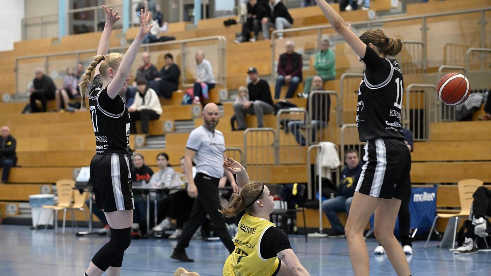 Pech für Lionpride: Haertle ist wieder da - und wieder weg