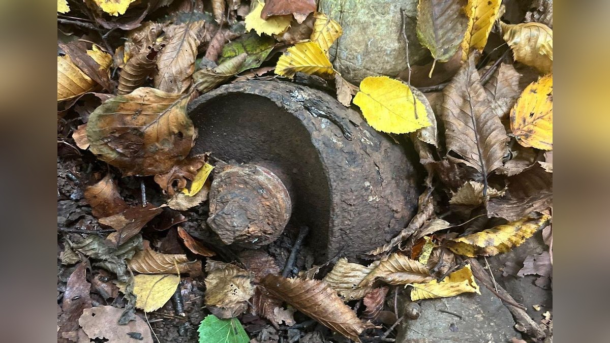 Hagen: Timo (7) findet Phosphor-Bombe beim Spielen im Wald