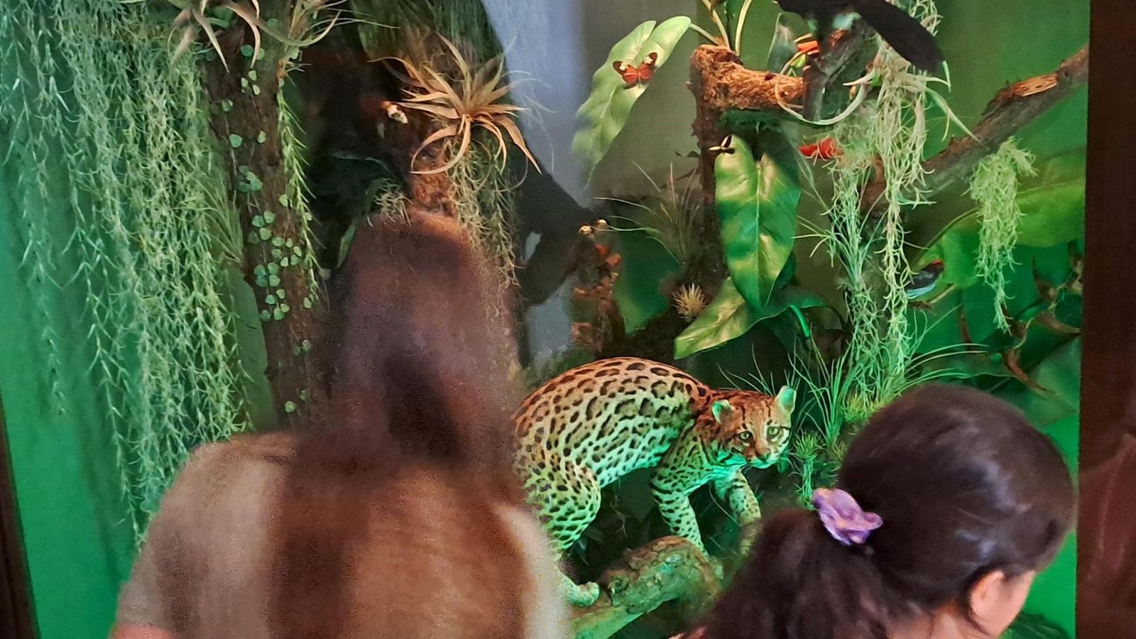 Ganz neu im Angebot: Digitale Schnitzeljagd durch Rudolstädter Museum