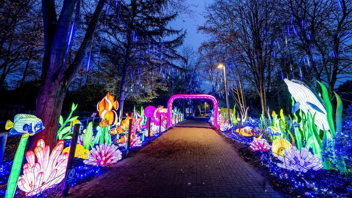 Serengeti Park Hodenhagen: Europas schönstes Lichterfestival kehrt zurück