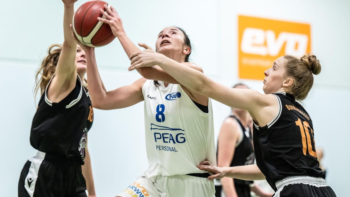 NBO II beschließt Spieltag in Halle Ost - zweiter Sieg soll her