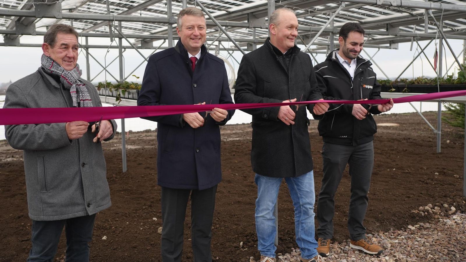 Unternehmen in Gebesee stellt Erdbeeranbau der Zukunft vor