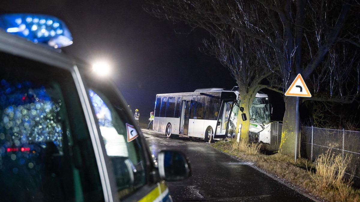 Ilmenau: Linienbus kracht gegen Baum, Fahrer schwer verletzt, Elfjährige im Krankenhaus