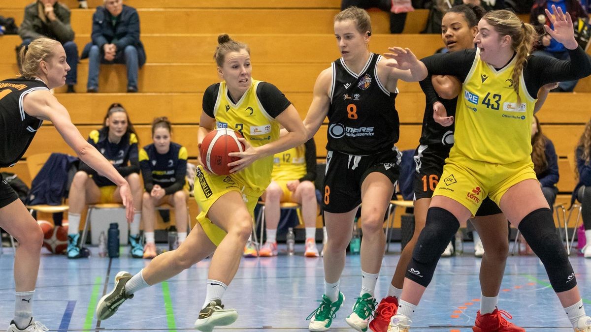 Viel Futter für Braunschweiger Basketball-Fans