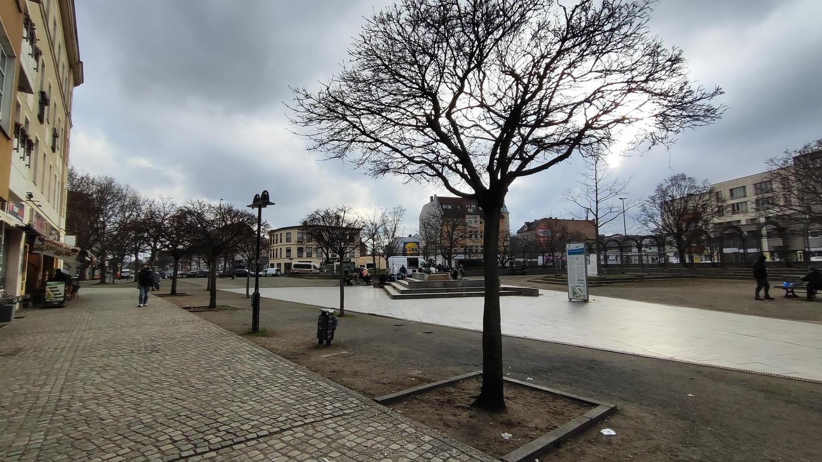 Reinickendorf: Warum am Franz-Neumann-Platz die Bäume fallen