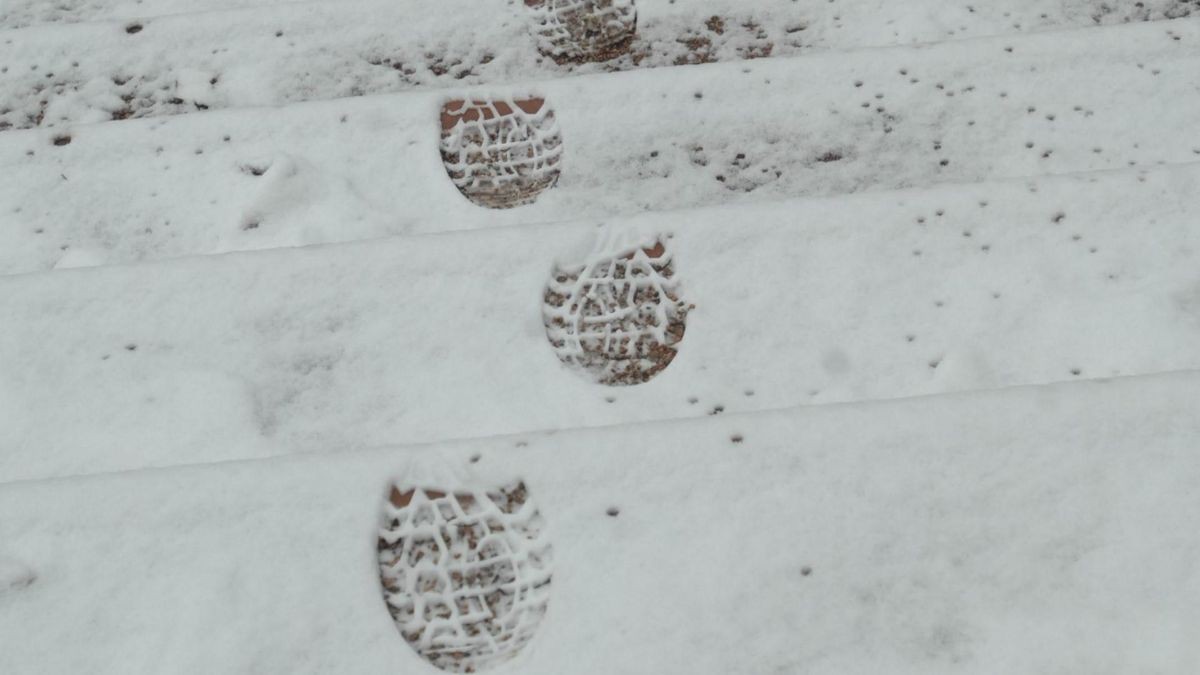 Polizei: Spuren im Schnee verraten Einbrecher in Weimar