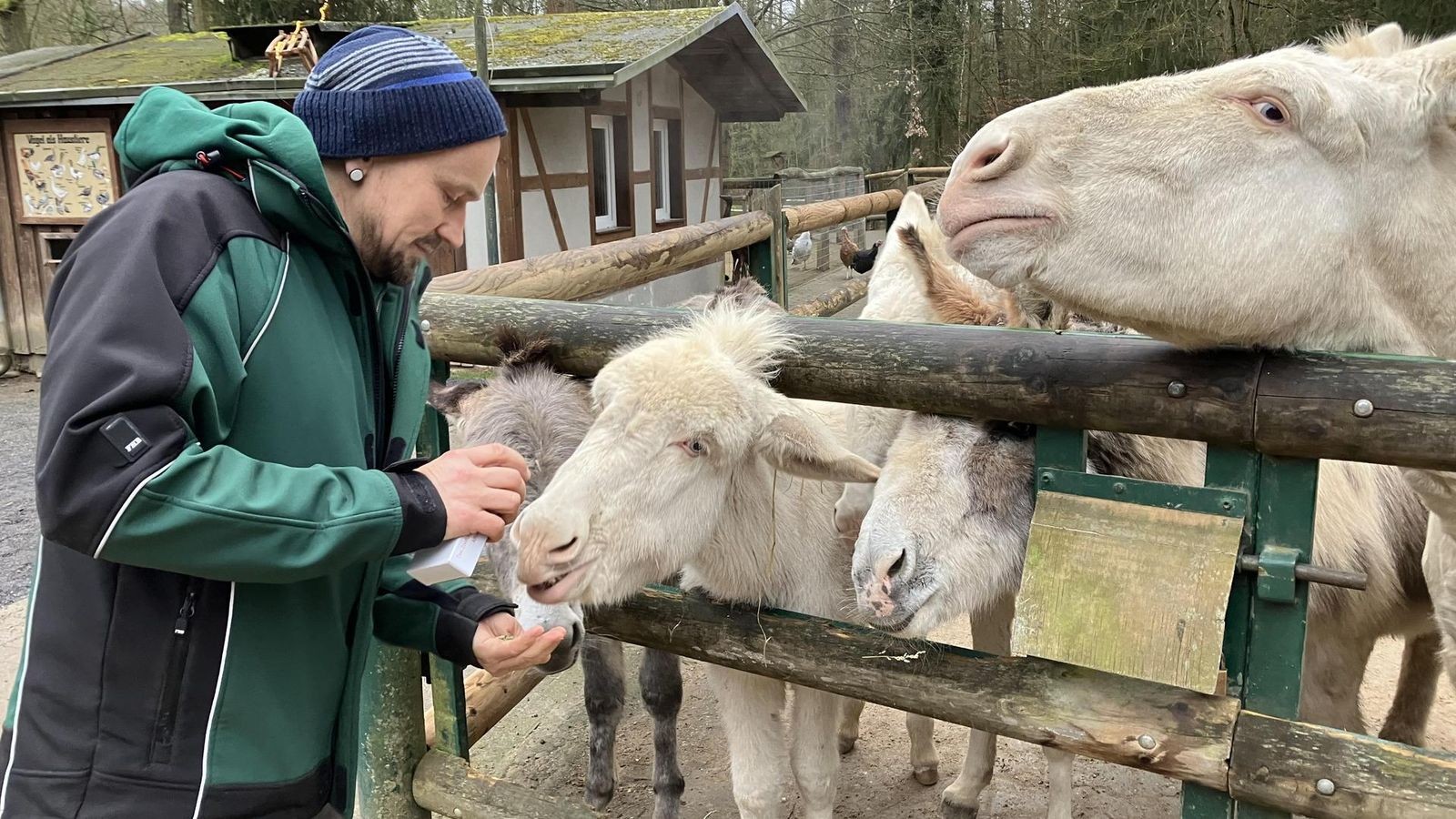 Geraer Tierpark 2025: Klimagarten und neue Tierarten im Fokus