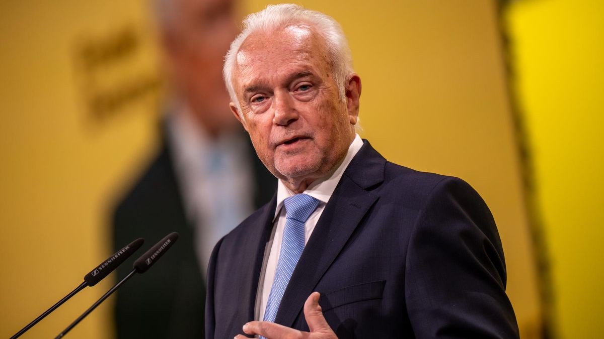 Wolfgang Kubicki denkt nach Bundestagswahl 2025 „ernsthaft über FDP ...