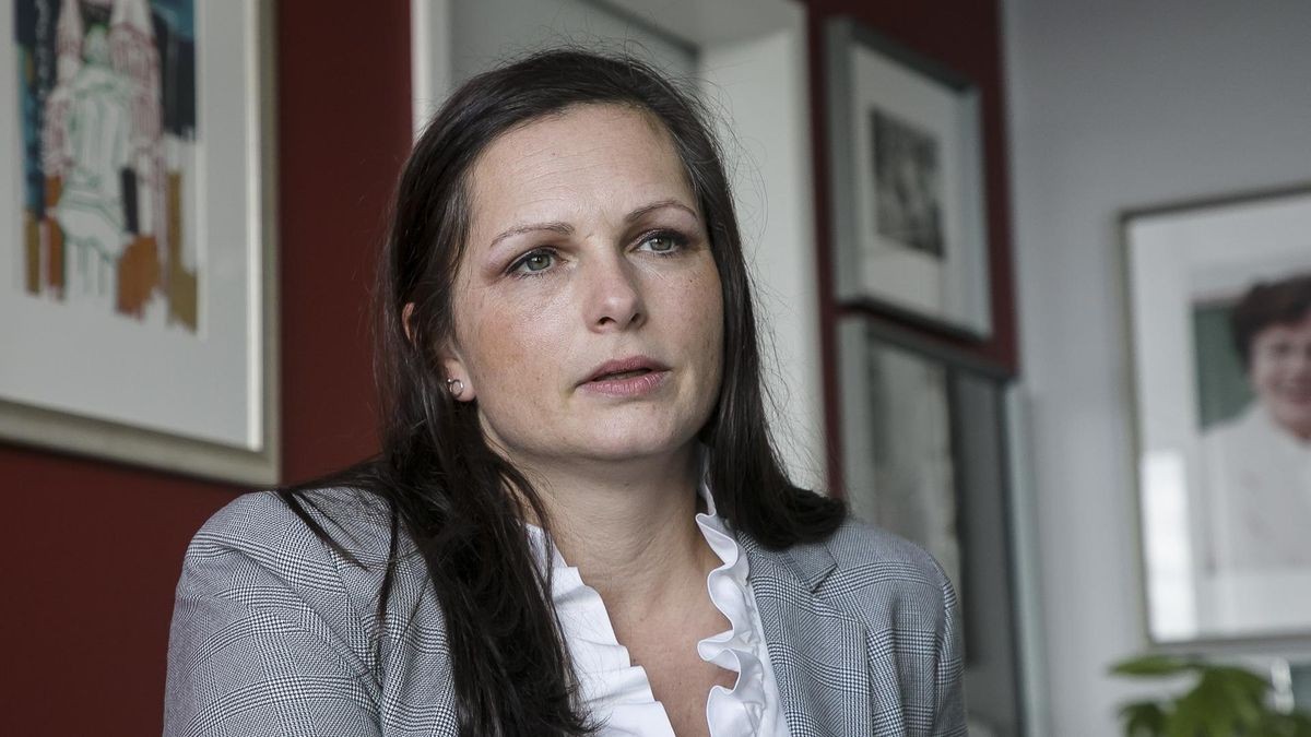 Braunschweiger Spedition Wandt beantragt Insolvenzverfahren