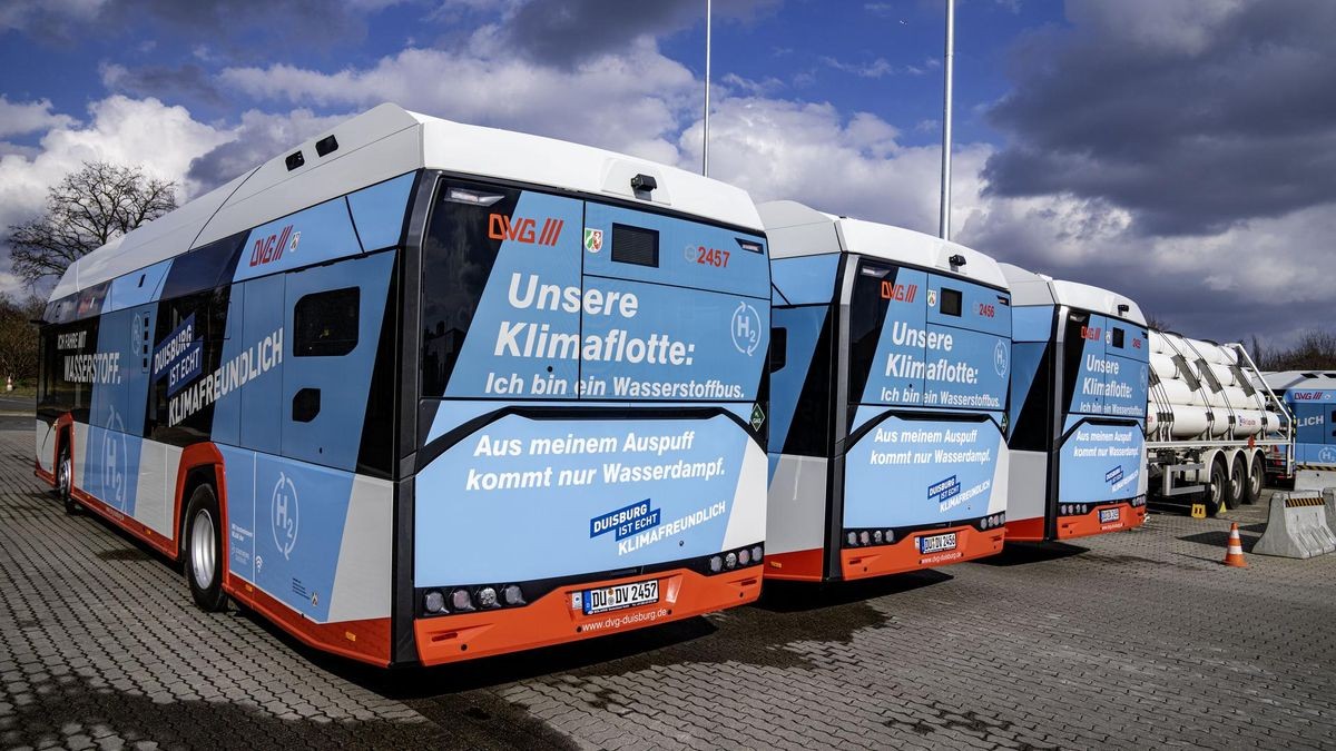 Duisburger Verkehrsgesellschaft (DVG)