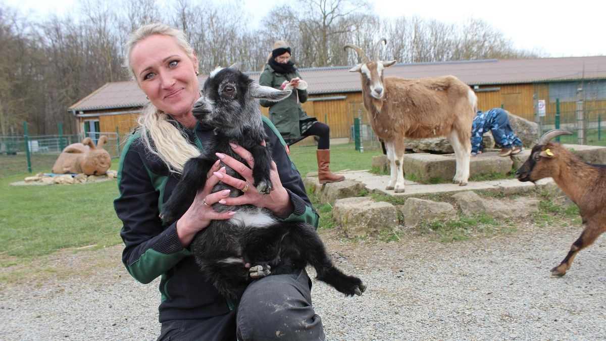 Der Kyffhäuserkreis hat Wochenende: unsere Top-5-Veranstaltungen