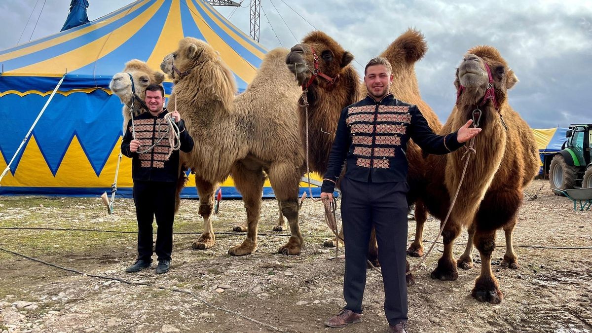 Circus Atlantis: Erleben Sie Riesenschlangen und Kamele hautnah