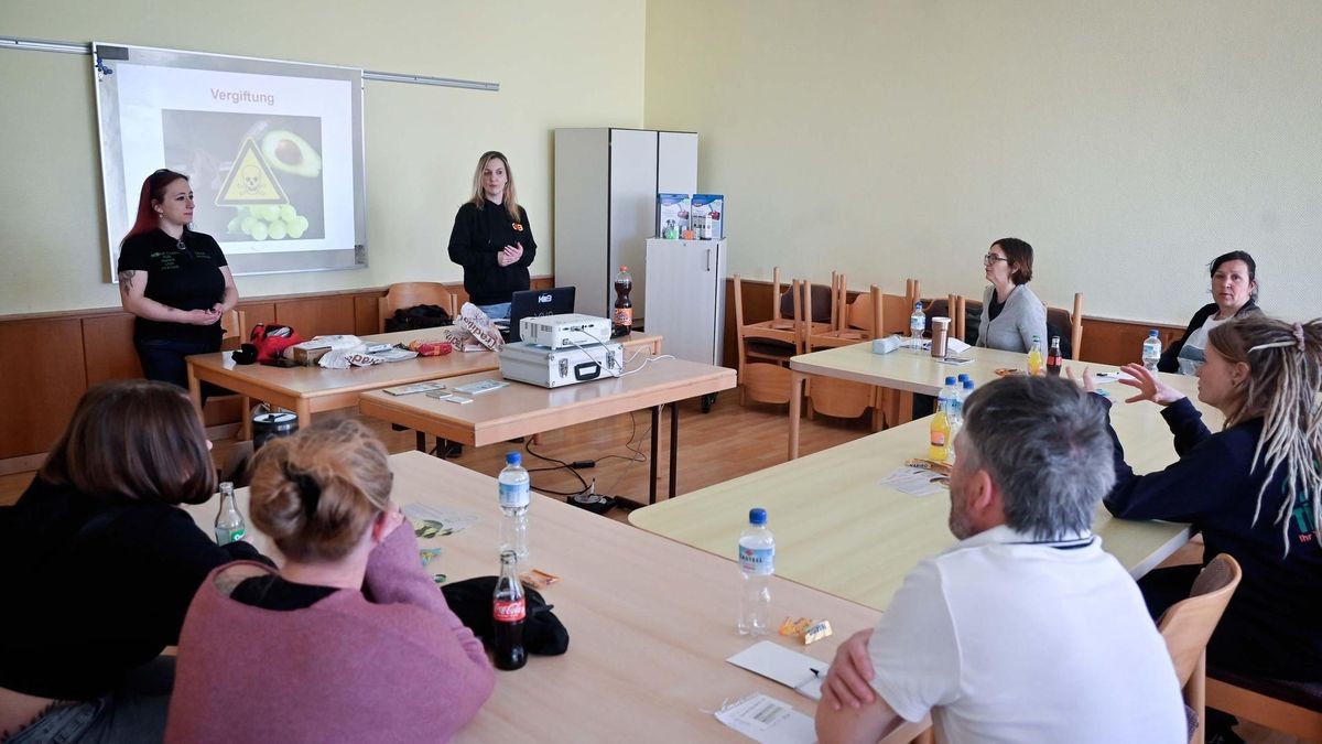 „Kopf, Rumpf, Flanke“: Velberter üben Erste-Hilfe am Hund